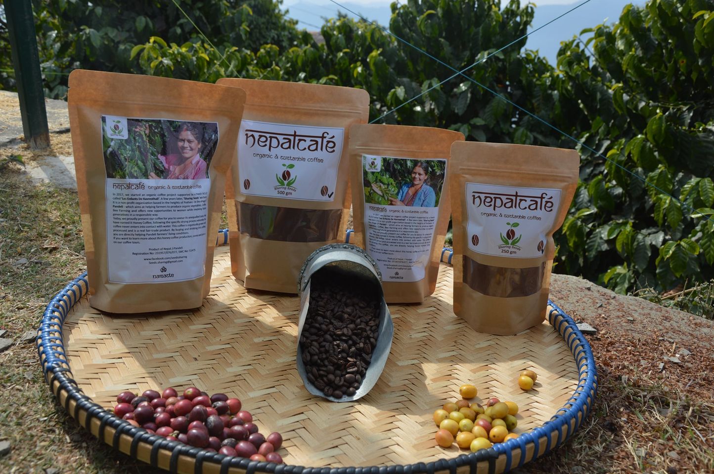 Our Projects - Sharing Seeds